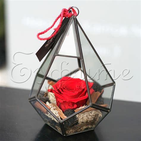 Вечна роза Червена