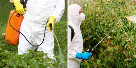 អត្ថប្រយោជន៍នៃការដាំដុះដំណាំនៅក្នុងផ្ទះសំណាញ់ នាទីកសិកម្ម Kaksekam Time