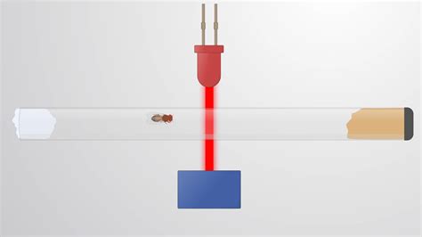 Video Drosophila Activity Monitor Dam A Method To Measure Locomotor Activity In Flies