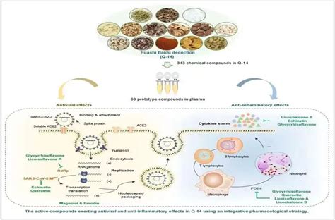 Apsb Pnas