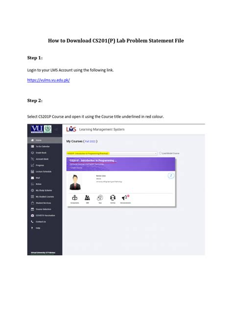 Stepstodownloadcs201pproblemstatement Pdf