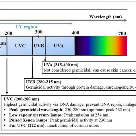 A Diagram Showing The Ultra Violet Uv Spectrum 100 400 Nm The