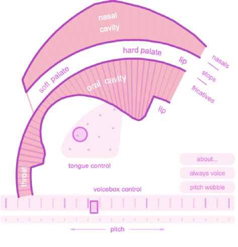 Vocal Tract Area Estimation By Gradient Descent Paper And Code Catalyzex