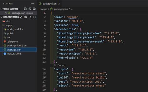 How To Check The Version Of ReactJS