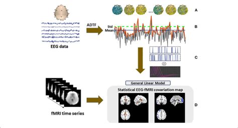 An Overview Of The Suggested Eeg Fmri Analysis A After Download Scientific Diagram