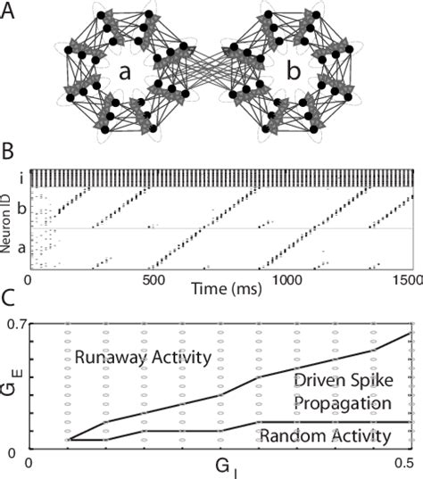 A Schematic Diagram Of The Network Arrows Indicate Excitatory