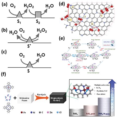 Possible Reaction Pathways And Active Sites Of Catalytic Orr A Dual