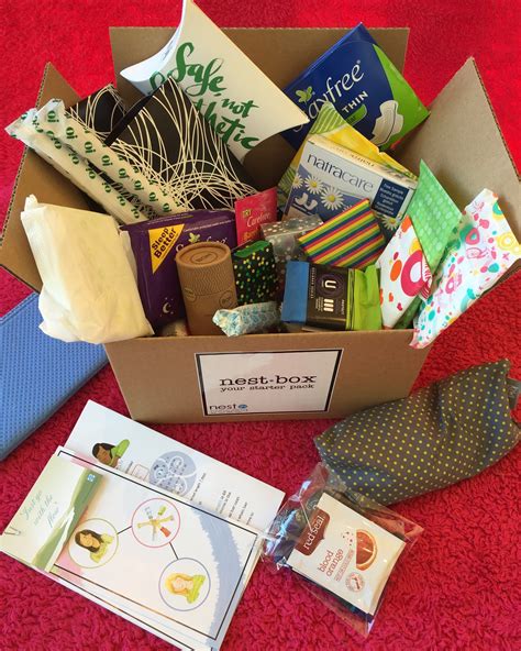 Nest Box NEST CONSULTING