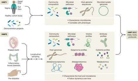 The Integrative Human Microbiome Project Nature Health Hacker Australia