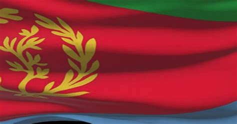 Eritrean Flag Bilder Bläddra Bland 1 700 Stockfoton Vektorer Och Videor Adobe Stock