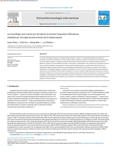 Macrofagos En Es Pdf