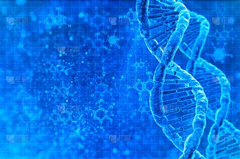 脱氧核糖核酸 生物科技 酸 水平画幅 形状 无人 绘画插图 科学 计算机制图 计算机图形学
