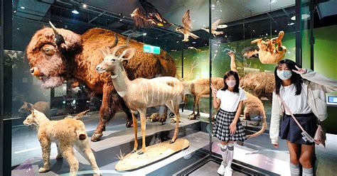2023必看展覽NAKED OCEAN 光之影海洋展手機拍到停不下來的360度沈浸式夢幻海洋體驗 兔兒毛毛姊妹花