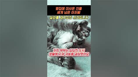 옆집에 이사온 아저씨의 충격적인 만행 Youtube