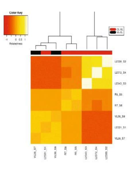 Heat Map Based On Profile Of Single Nucleotide Polymorphisms Snps Of