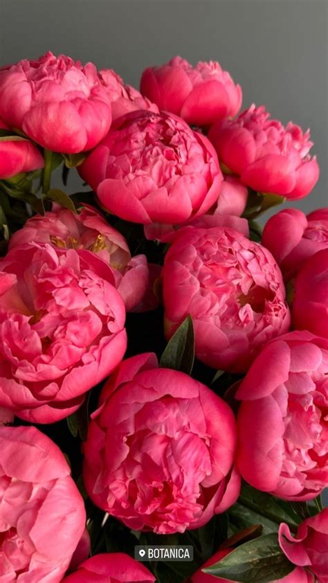 Пин от пользователя ava ♡ на доске Flower therapy | Свежие цветы ...