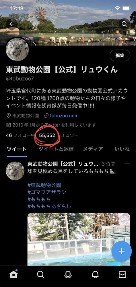 東武動物公園【公式】リュウくん On Twitter あと、3人 東武動物公園 飼育係twitter ゾロ目 55555人目は誰