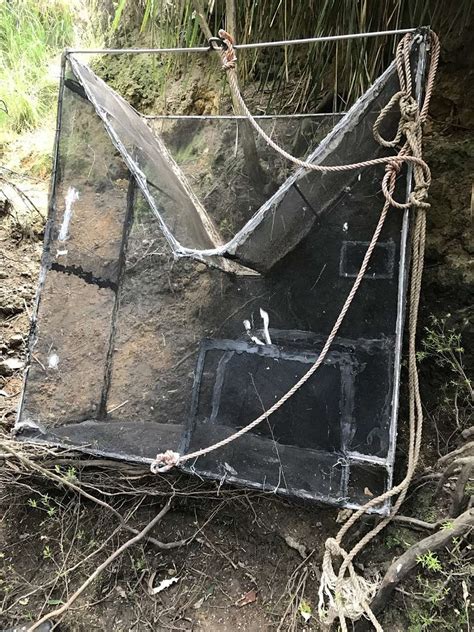 The Latest Whitebait Conviction