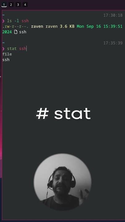 Linux File Inspection Tool Linuxsystem Linuxforeveryone Coding Youtube
