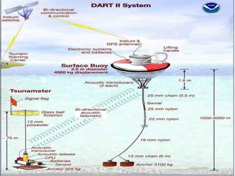 Tsunami Detection System Ppt
