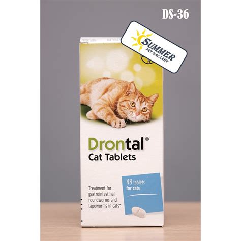 Drontal Cat Tablets 2 Tablets Shopee Malaysia