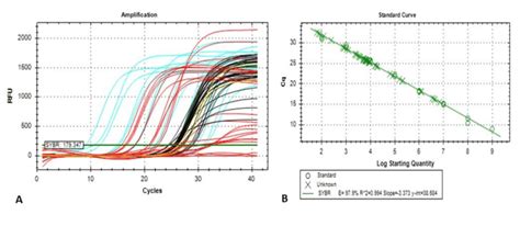 A Amplification Curves Targeting Vp28 Of Wssv And B Standard Curve