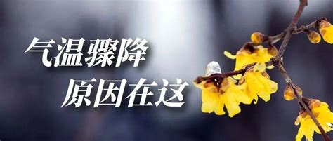 气温骤降丨原因在这 early spring 变化