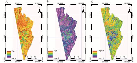 Entropy A Anisotropy B And Alpha Angle C Calculated From The Download Scientific