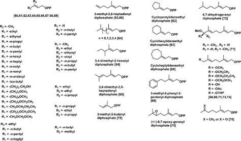 Scheme 10 Dmappgpp Analogues Tested As Starter Units During Fpps