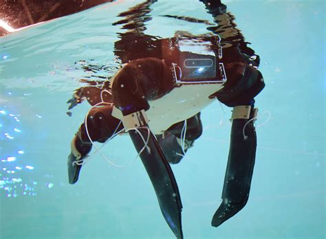 Art Yales Robotic Turtle Will Document Life Off Cts Coast