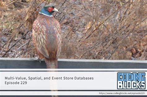 Coding Blocks Podcast And Your Source To Learn How To Become A Better