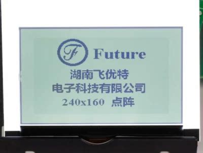 DOT Matrix LCD Cog Module Driver IC Graphic LCD Screen China LCD Panel