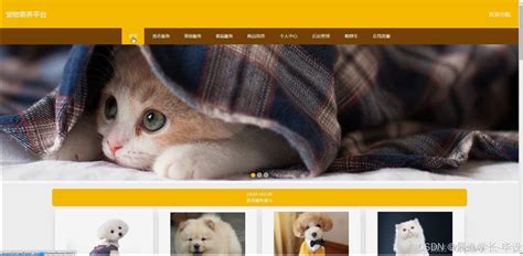 Springboot毕设宠物寄养平台程序论文 Csdn博客