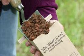 Soil Sample Arborist Co