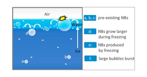 Evolution Of Bulk Nanobubbles Under Different Freezing Conditions