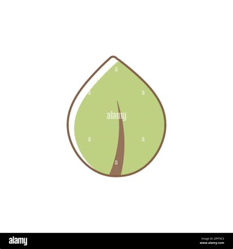 Associations And Symbols Sustainability Symbols Of Nature Leaves Of Tree Icons For