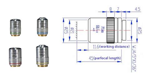 The Right Microscope Lenses For Precision Microscopy