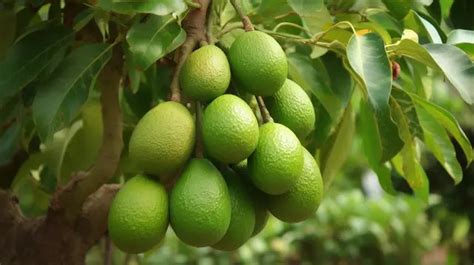 Neogeo Background Images HD Pictures And Wallpaper For Free Download Pngtree