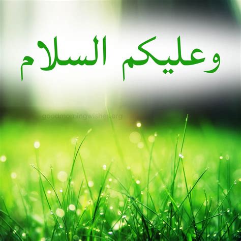 20 Good Morning Walaikum Assalam Images Good Morning Wishes