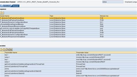 Salesforce Sap Po Integration With Sfdc Bulk Api