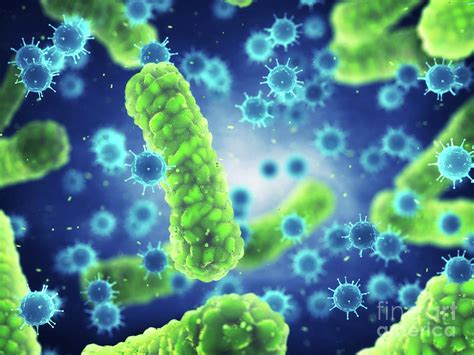 Pathogenic Hot Sex Picture