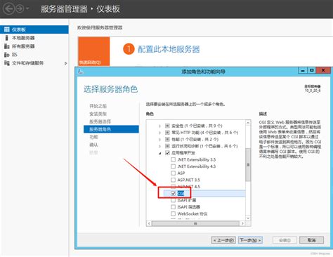 IIS上添加处理程序映射wfastcgi CSDN博客