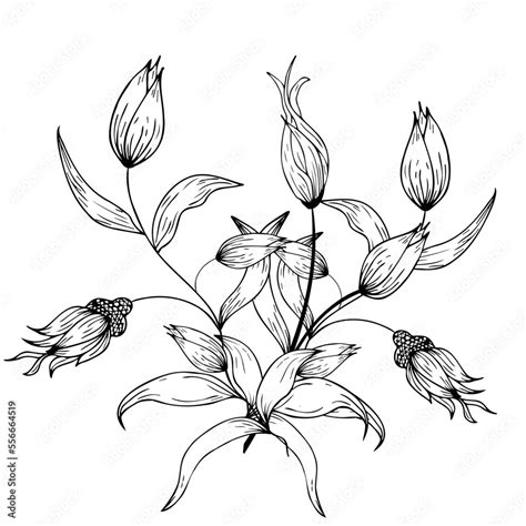 Floral Composition Floral Background With Tender Flowers And Branches Of Buds Hand Drawing