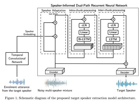 Having Choices For Enhancing Voices Target Speaker Extraction In Noisy