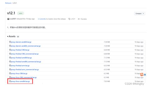Proxy代理配置 Goproxy 代理配置goproxy代理配置 Csdn博客
