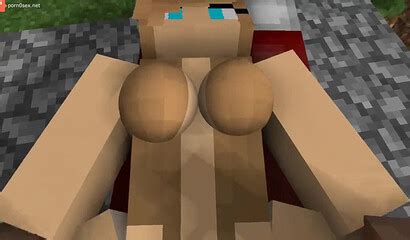 Sex In The World Of Minecraft Sex In The World Of Minecraft