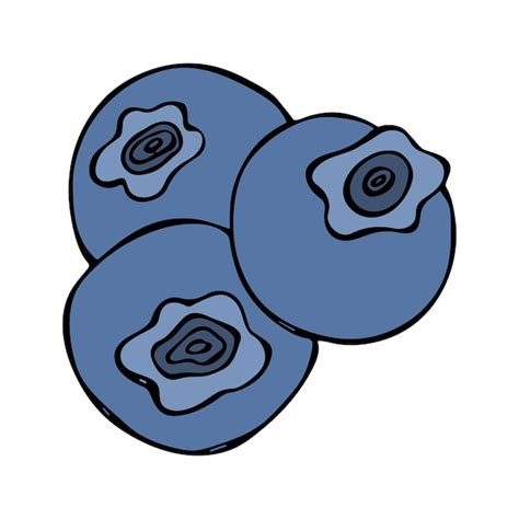 벡터 블루베리 클립 아트 손으로 그린 베리 아이콘 과일 그림 인쇄 웹 디자인 장식 로고 프리미엄 벡터