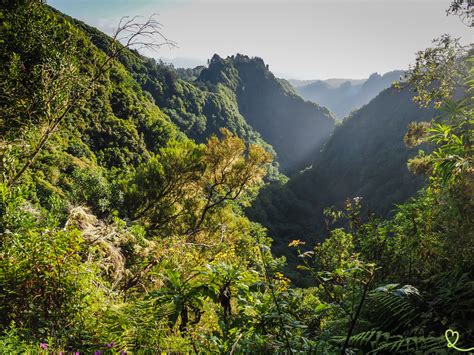 6 Meilleures Levadas à Madère Conseils Photos