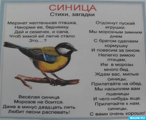 Стенгазеты Фотоотчёты Страница 470 Воспитателям детских садов