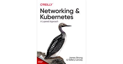 Networking E Kubernetes Book